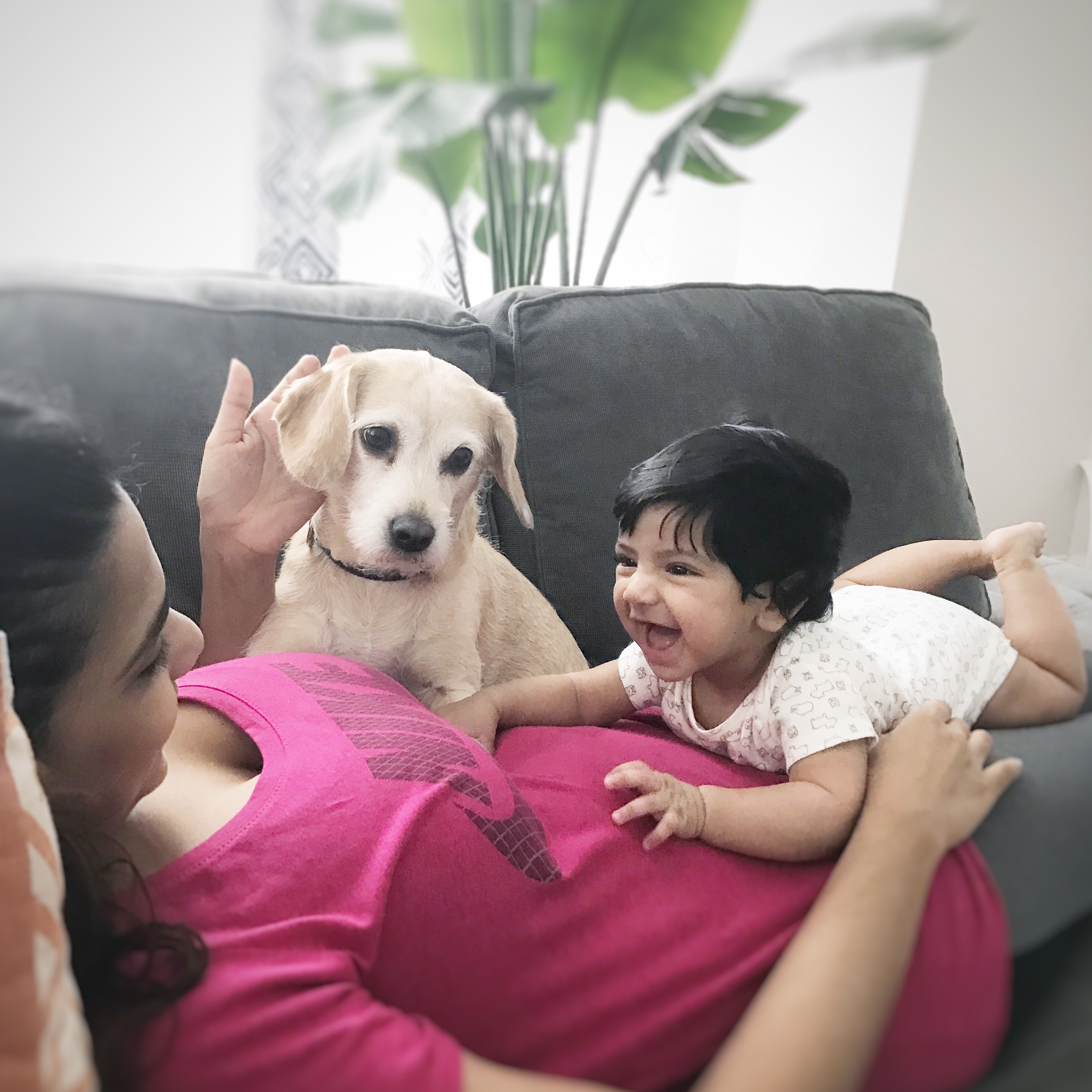 When I had to leave my 5 month baby for a Business trip. | The Snazzy ...